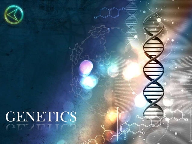 Evolution and Biodiversity,Genetics,Digestive System,Ecosystem | PPT