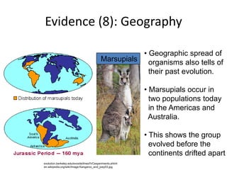 Geographic Distribution Evolution
