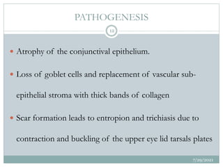 Trachoma in Family Medicine | PPTX