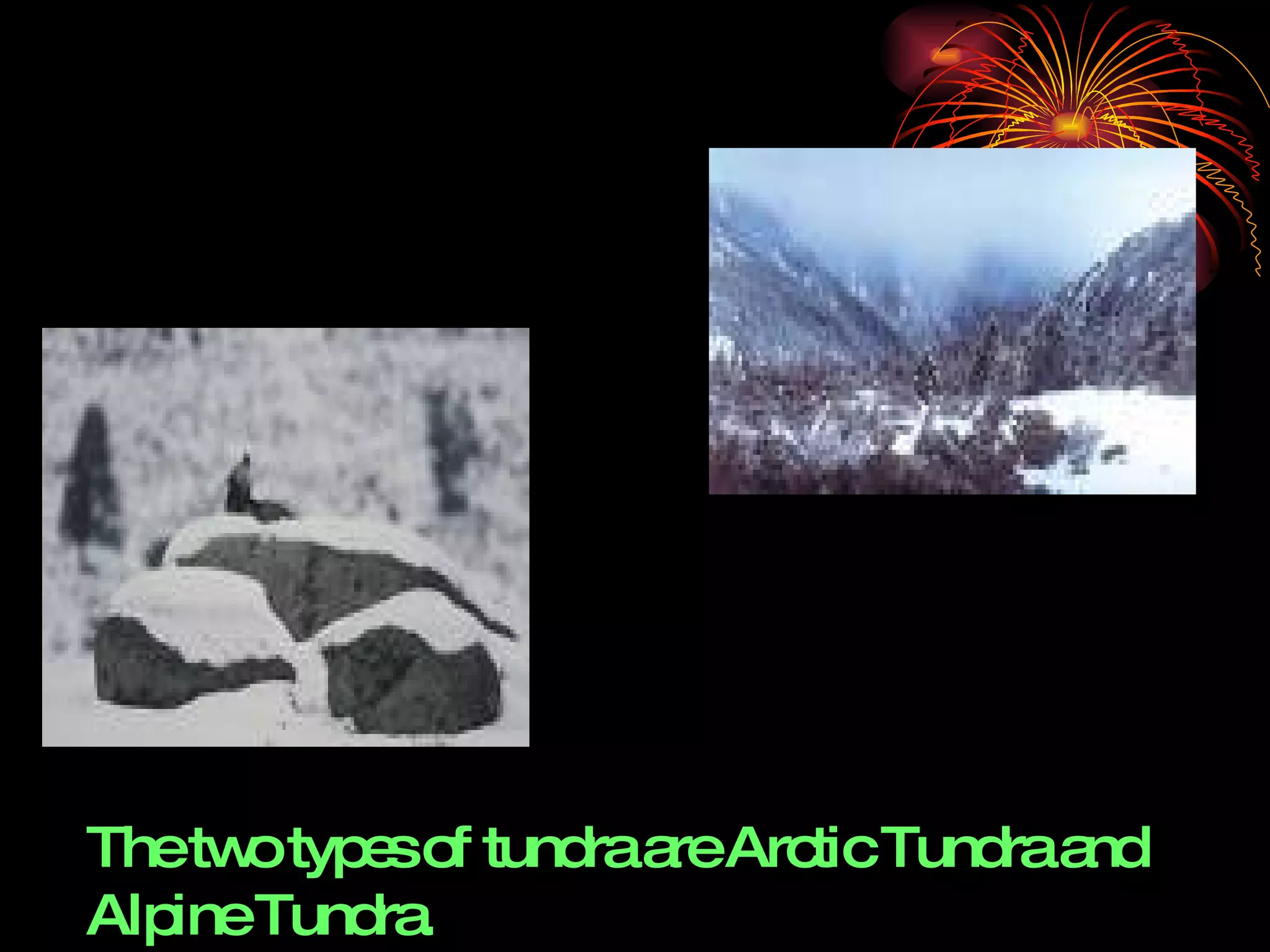 My Tundra Project Acomb | PPT | Geography | Science