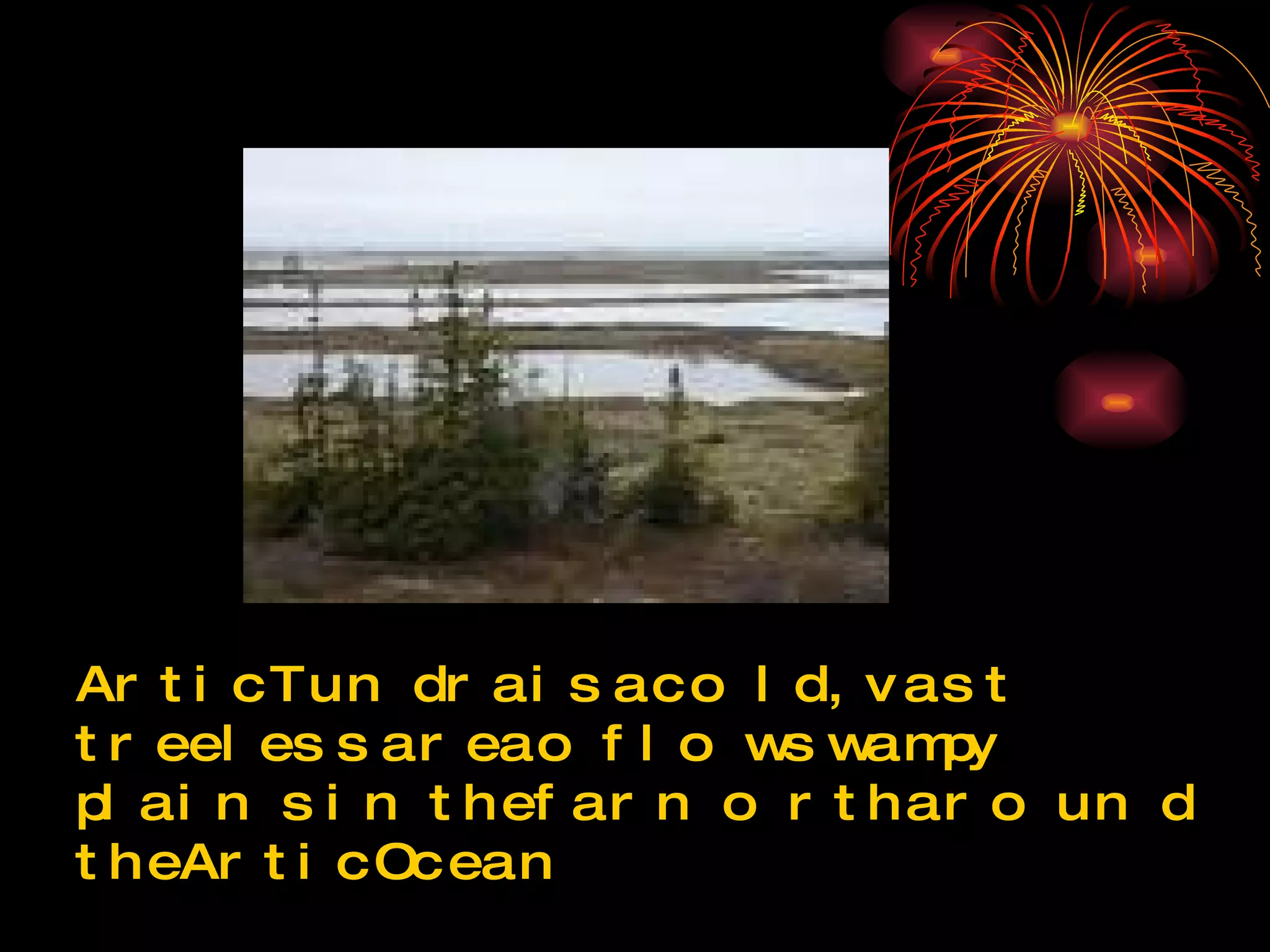 My Tundra Project Acomb | PPT | Geography | Science