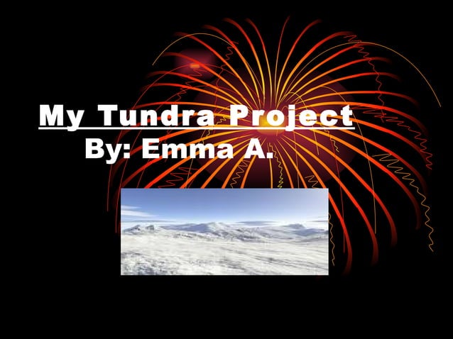 My Tundra Project Acomb | PPT | Geography | Science