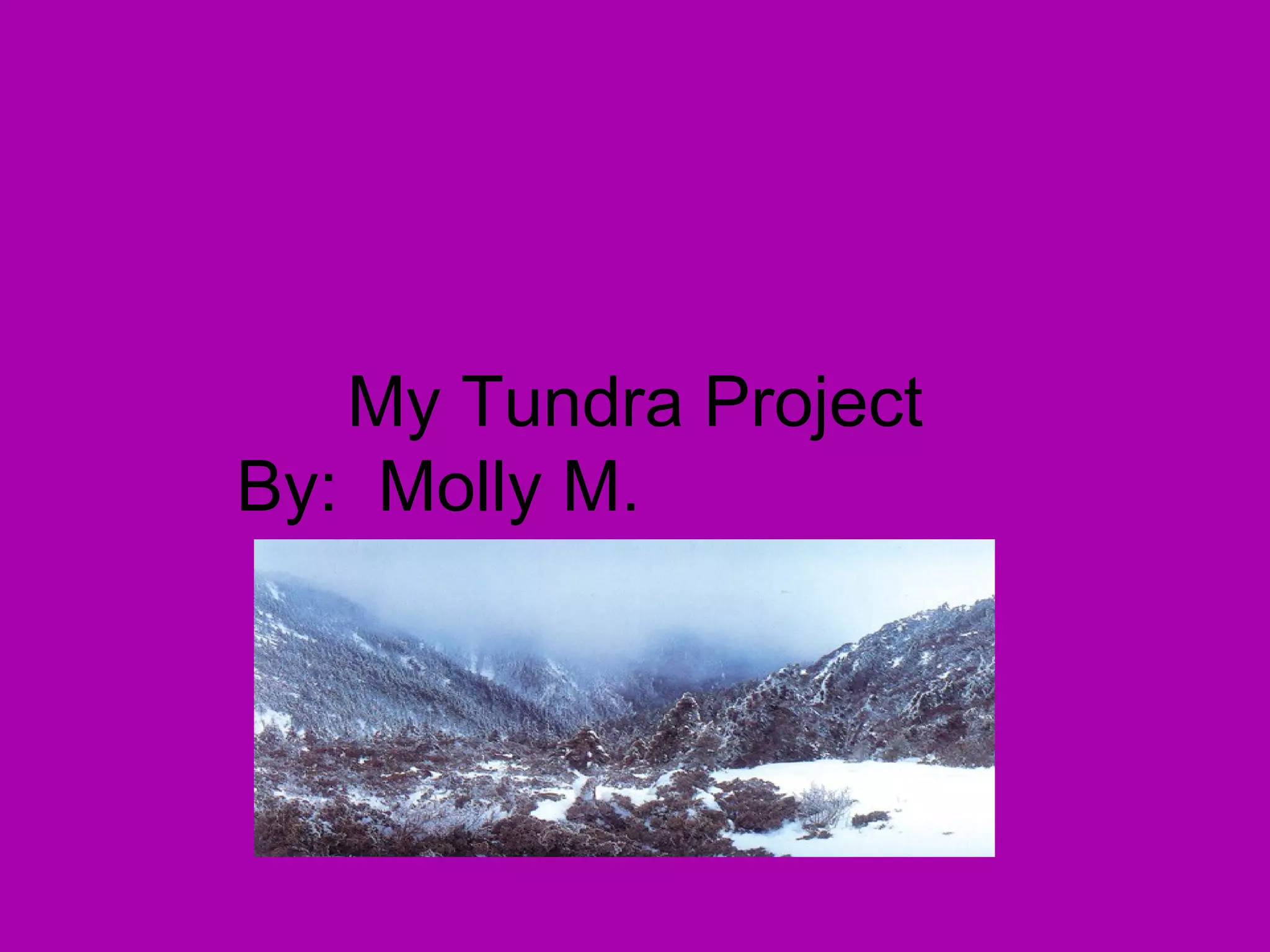 My Tundra Project Martin | PPT