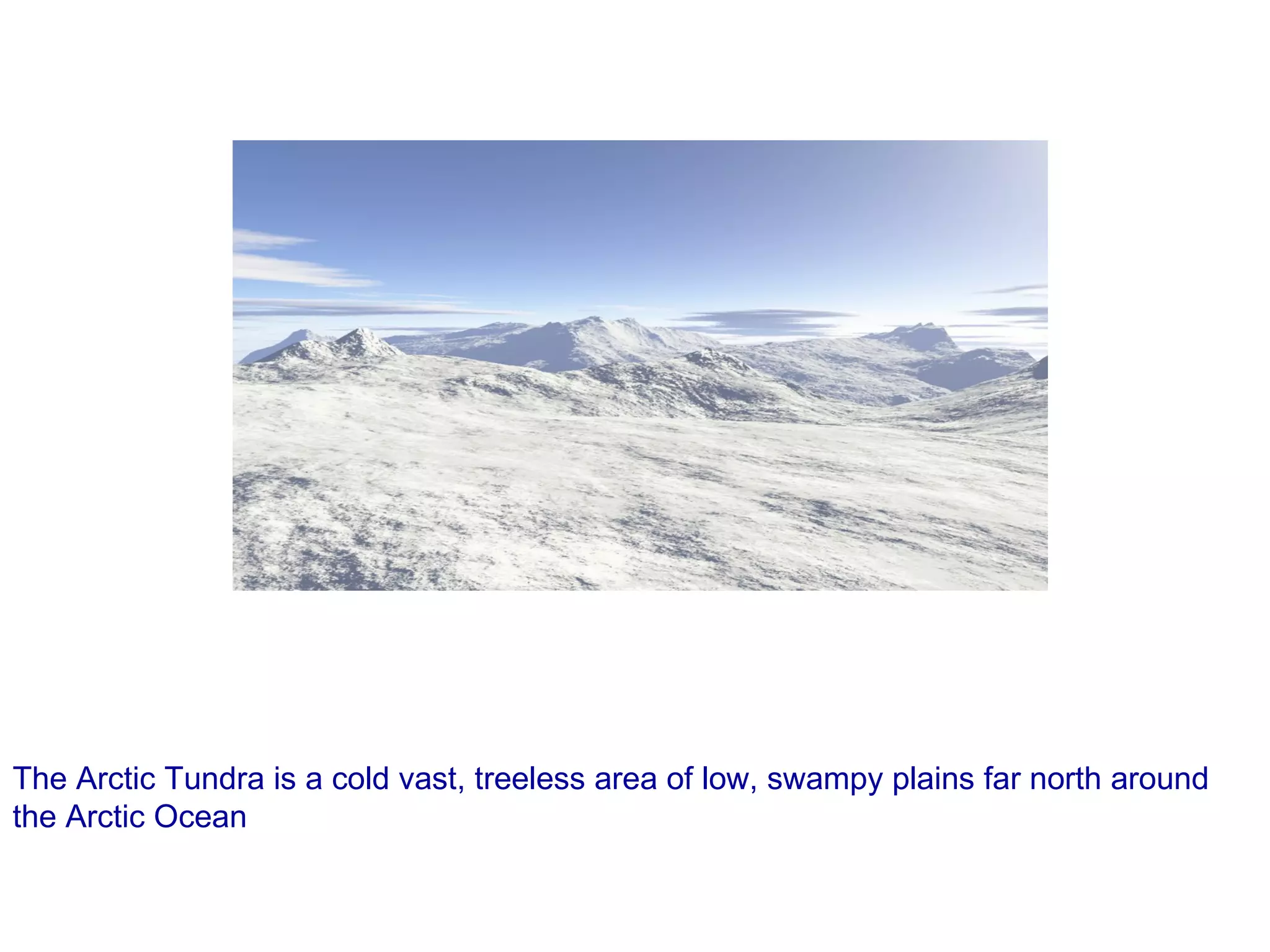 My Tundra Report Ulmer | PPT