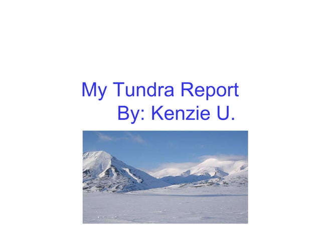 My Tundra Report Ulmer | PPT