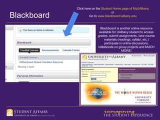MyUAlbany 101 PPT