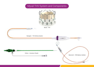 Get to Know about the MITSU™ POLYGLACTIN 910 Synthetic Absorbable ...