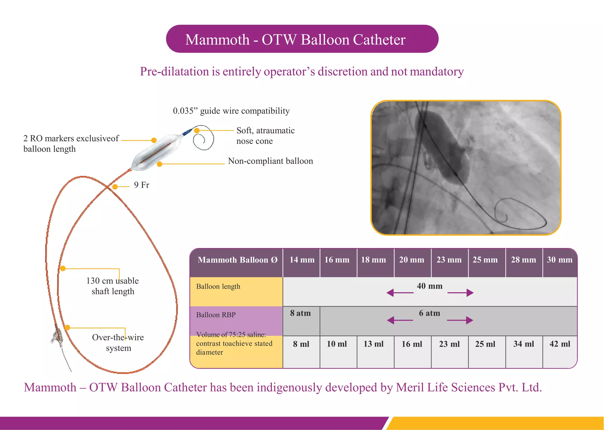 Myval THV Transcatheter Heart Valve by Meril Life | PDF