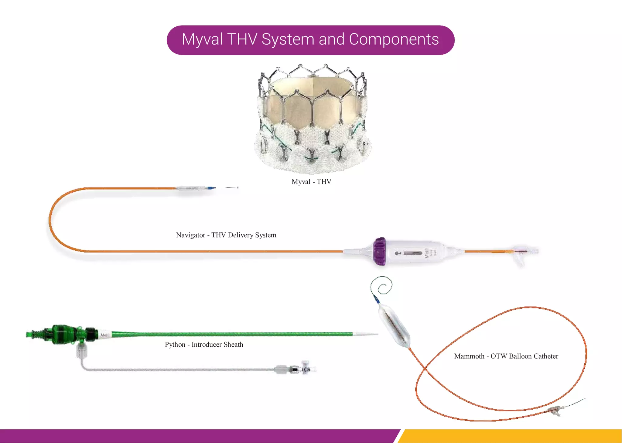 Myval THV Transcatheter Heart Valve by Meril Life | PDF