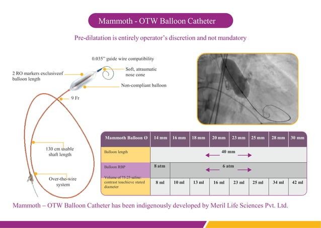 Myval THV Transcatheter Heart Valve by Meril Life | PDF | Physics | Science