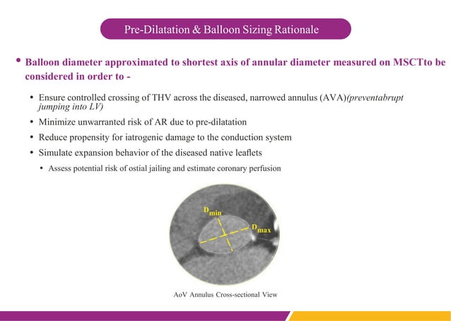 Myval THV Transcatheter Heart Valve by Meril Life | PDF | Physics | Science