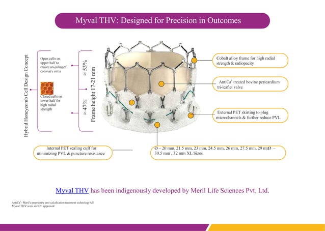Myval THV Transcatheter Heart Valve by Meril Life | PDF | Physics | Science