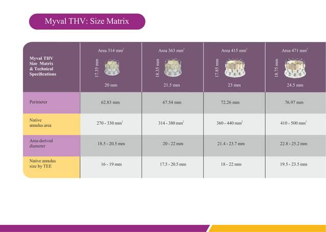 Myval THV Transcatheter Heart Valve by Meril Life | PDF | Physics | Science