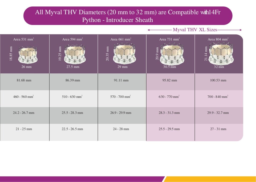 Myval THV Transcatheter Heart Valve by Meril Life