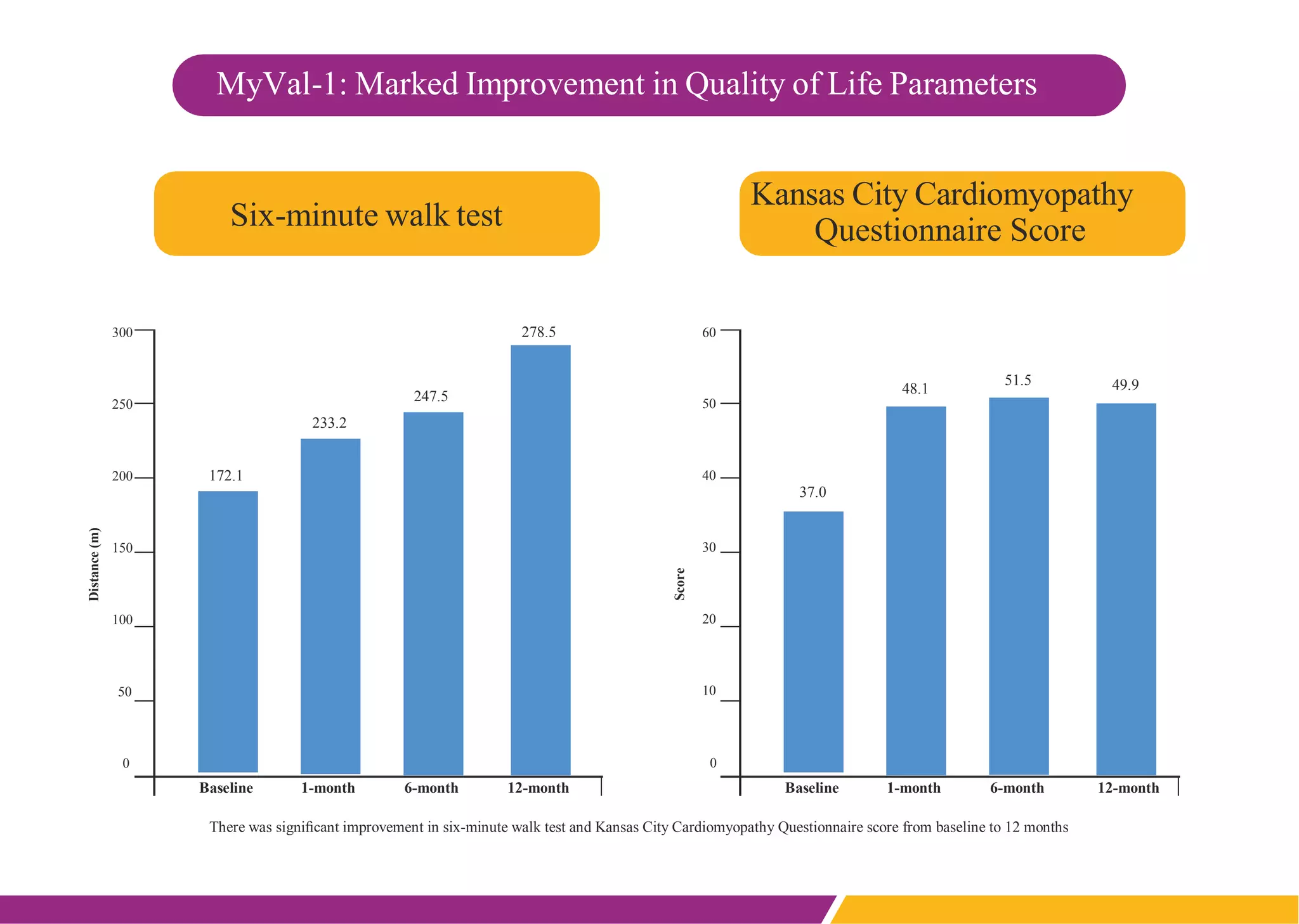 Myval THV Transcatheter Heart Valve by Meril Life | PDF