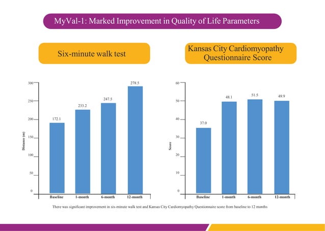 Myval THV Transcatheter Heart Valve by Meril Life