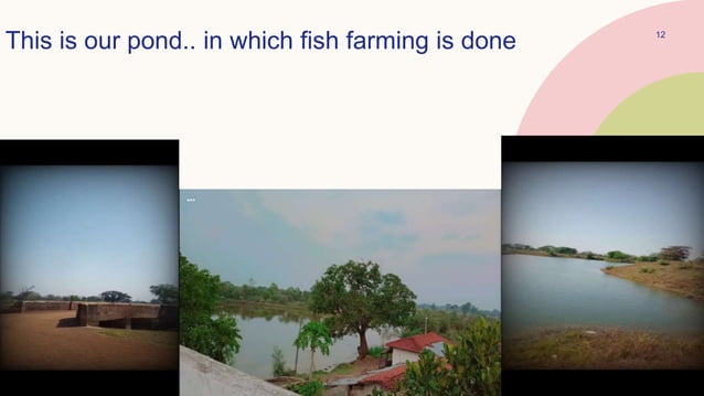 My Village Sakroud (Gunderdehi).pptx