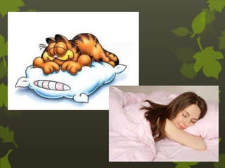 My weekend!!! | PPTX