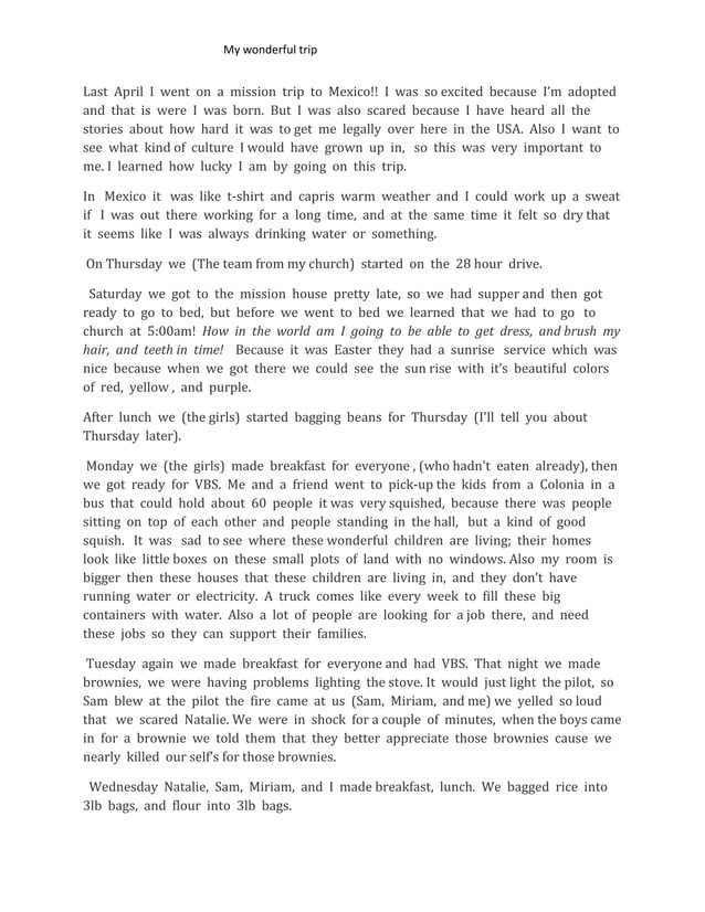 My Wonderful Trip | PDF