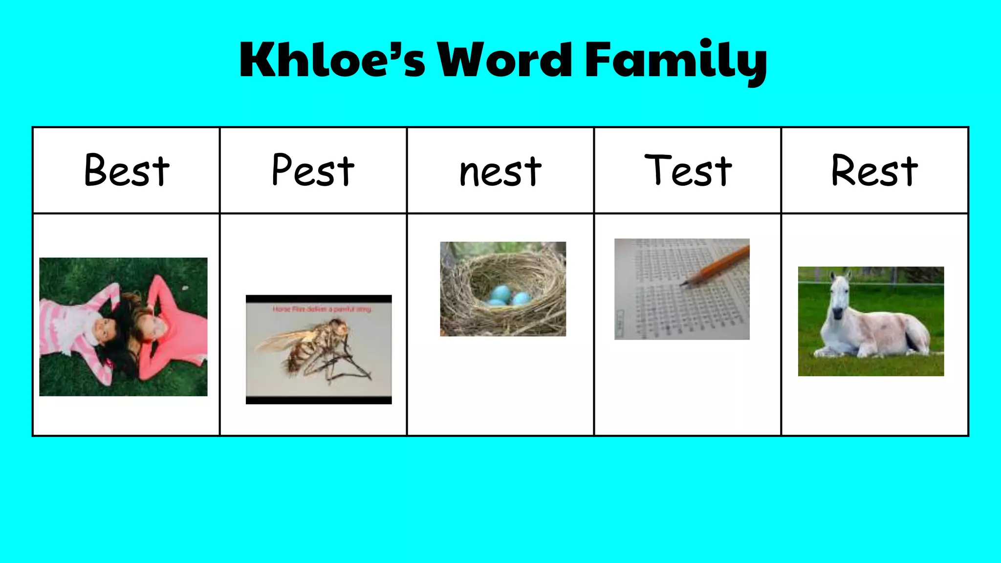 My word family | PPTX