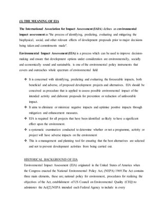 ENVIRONMENTAL IMPACTS ASSESMENT (EIA) | DOCX