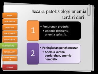 Anemia | PPTX