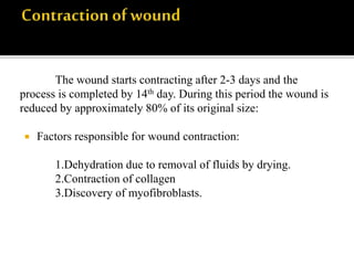 WOUND HEALING AND ENDODONTICS | PPTX