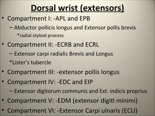 My Wrist MSK.pdf ghjnnfdffggghhhjjjjhhhh | PDF