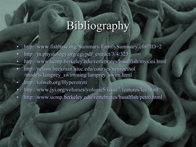 Myxinia & Cephalaspidomorphi | PPT