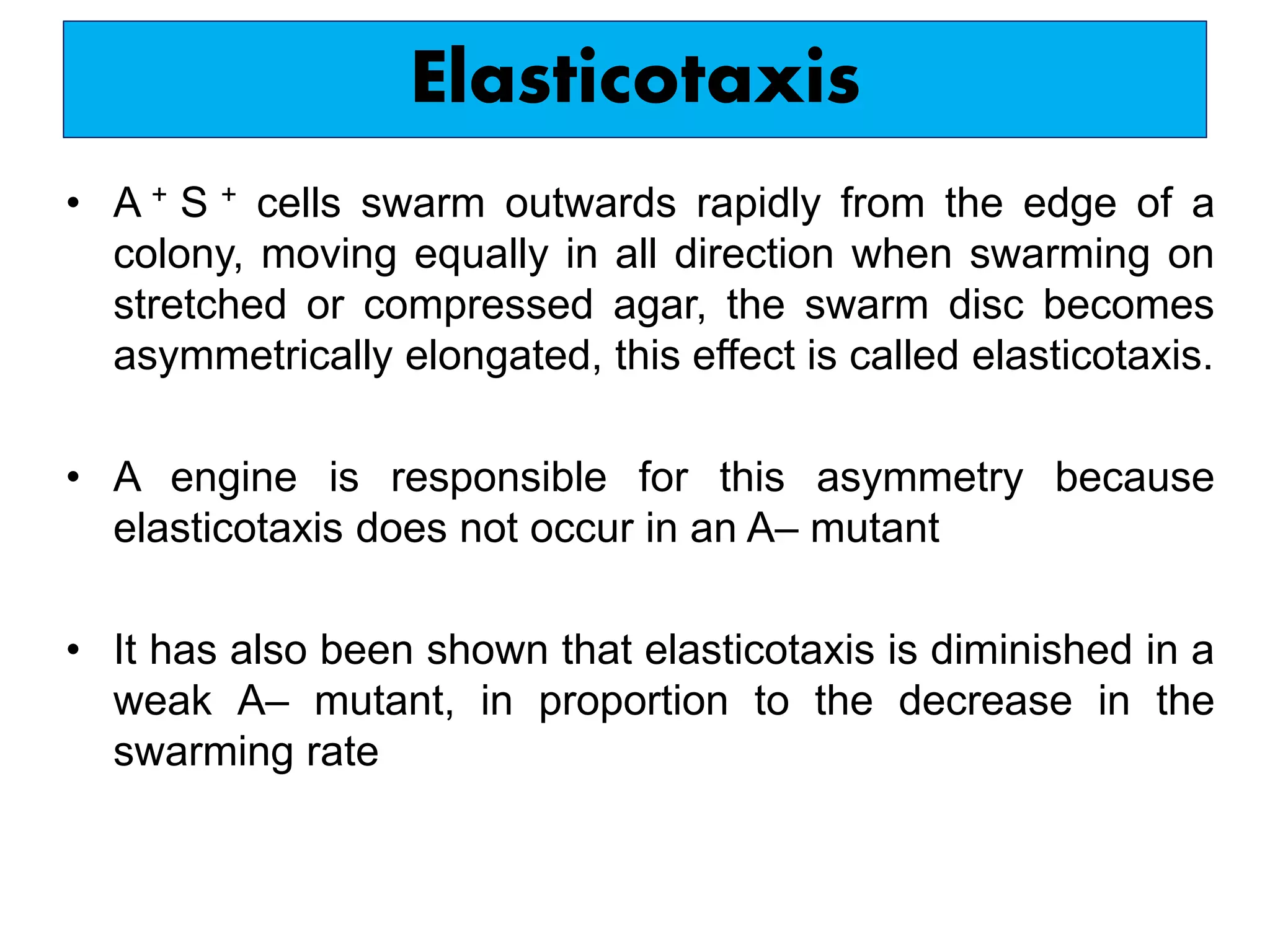 Myxobacteria, life cycle, genetic basis of differentiation | PPTX