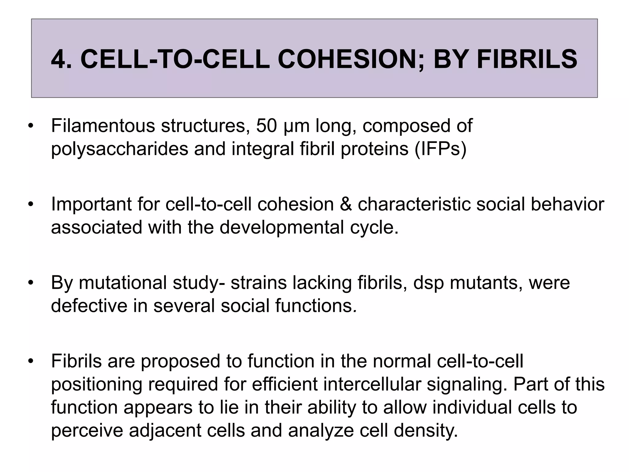 Myxobacteria, life cycle, genetic basis of differentiation | PPTX