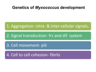 Myxobacteria, life cycle, genetic basis of differentiation | PPTX