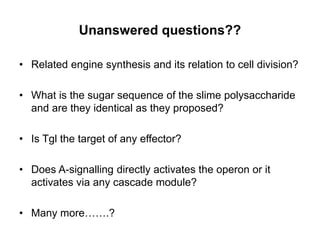 Myxobacteria, life cycle, genetic basis of differentiation | PPTX