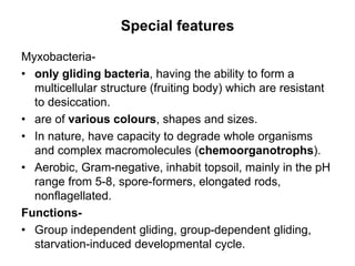 Myxobacteria, life cycle, genetic basis of differentiation | PPTX