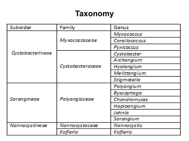Myxobacteria, life cycle, genetic basis of differentiation | PPTX ...