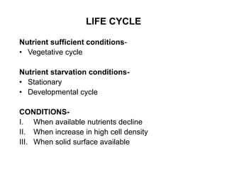 Myxobacteria, life cycle, genetic basis of differentiation | PPTX