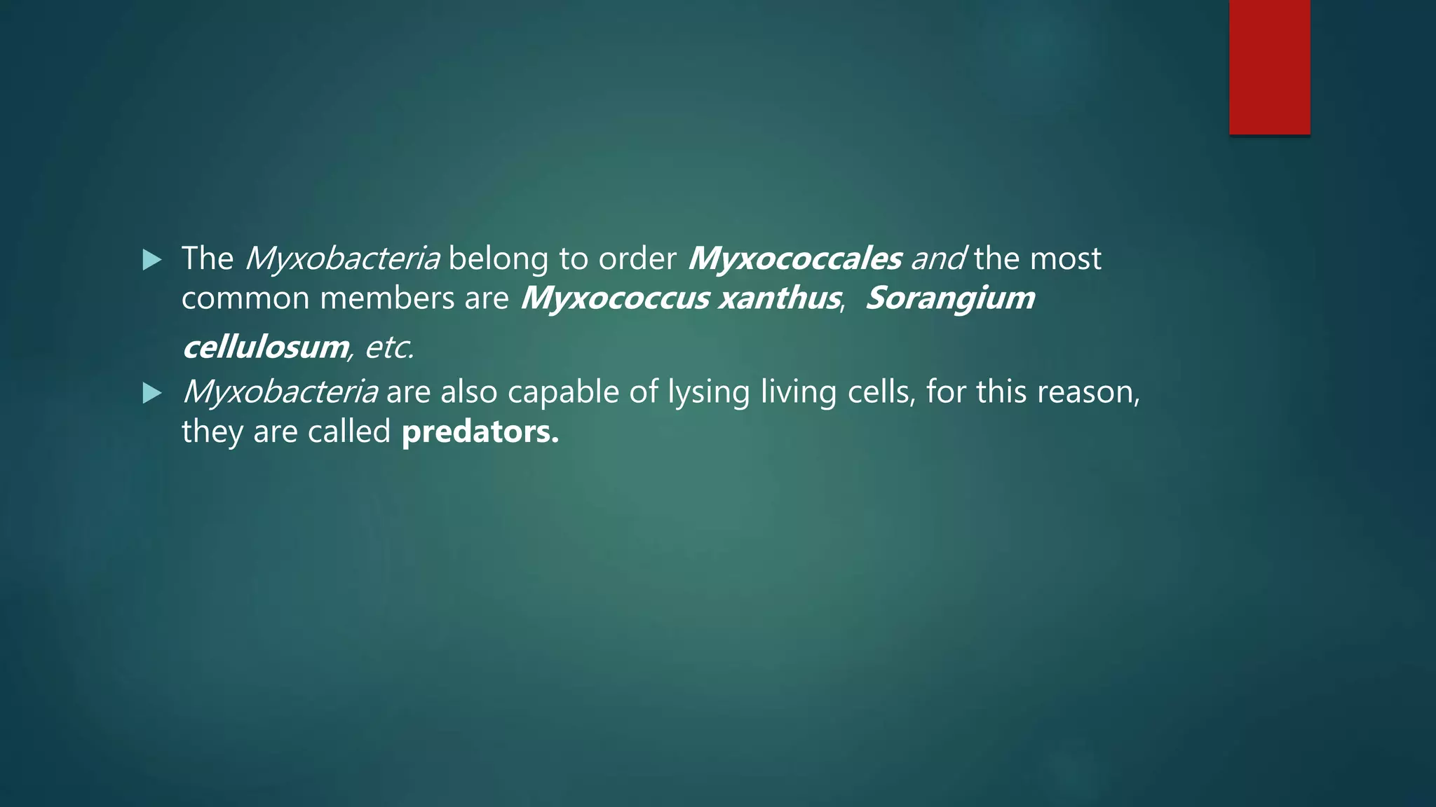 Myxobacteria pptx | PPTX