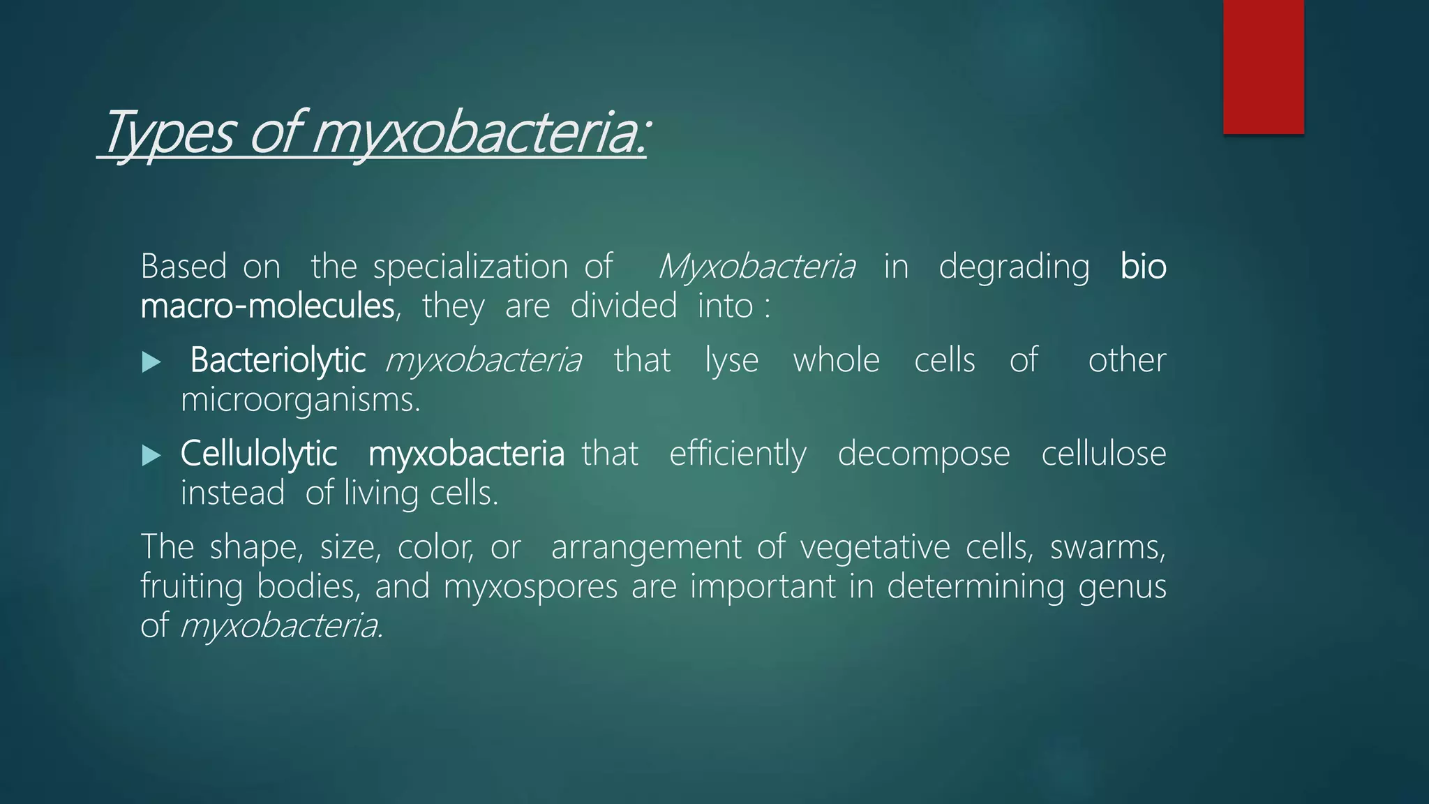 Myxobacteria pptx | PPTX