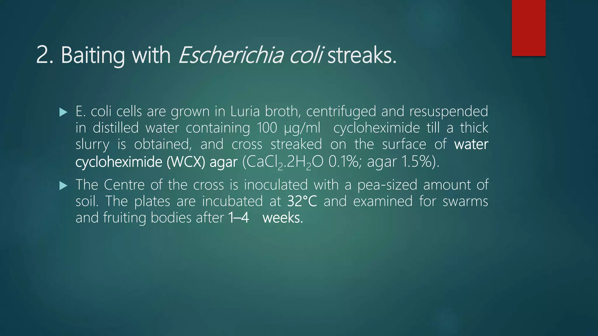 Myxobacteria pptx | PPTX