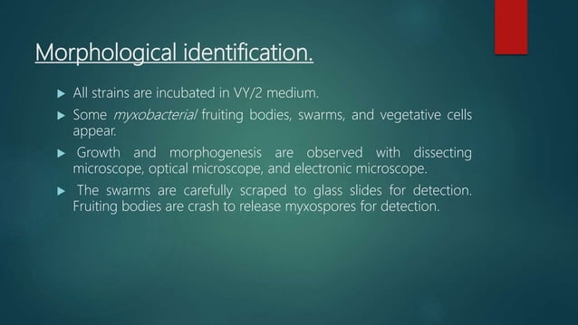 Myxobacteria pptx | PPTX