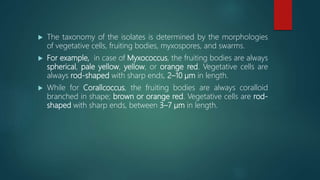 Myxobacteria pptx | PPTX