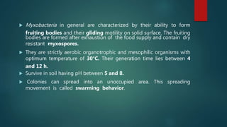 Myxobacteria pptx | PPTX