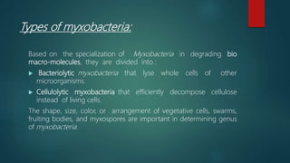 Myxobacteria pptx | PPTX