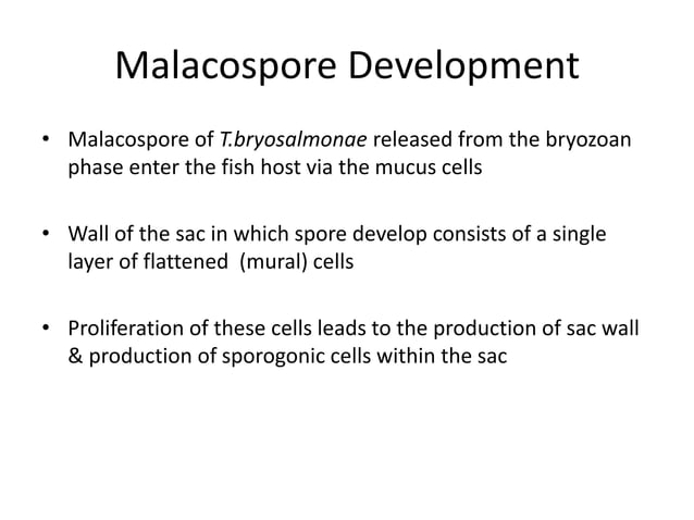 Myxozoan fish parasite life cycle | PPTX | Fish and Aquariums | Pets