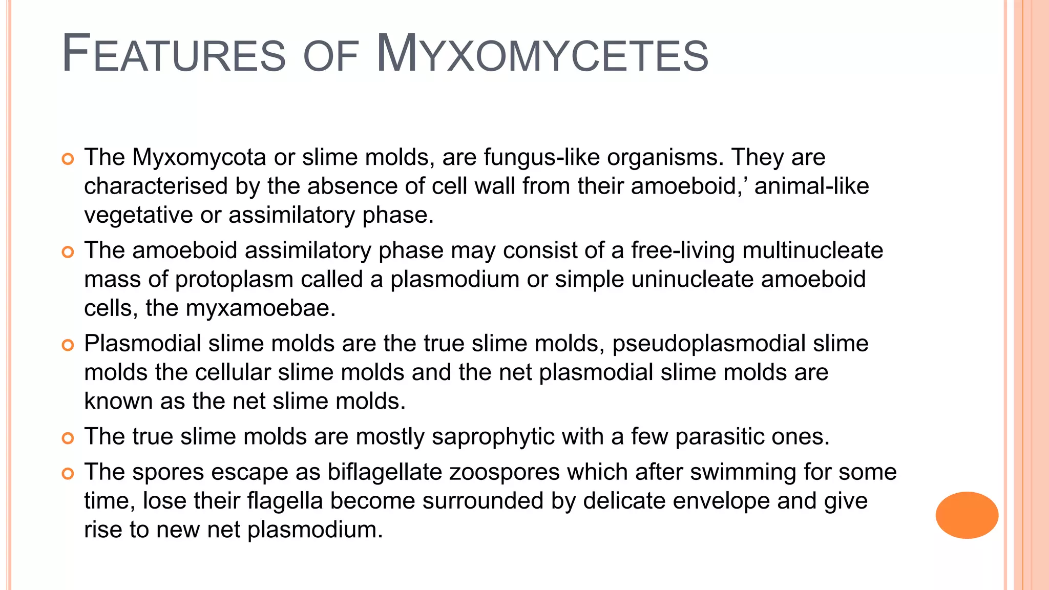 Myxomycetes | PPTX