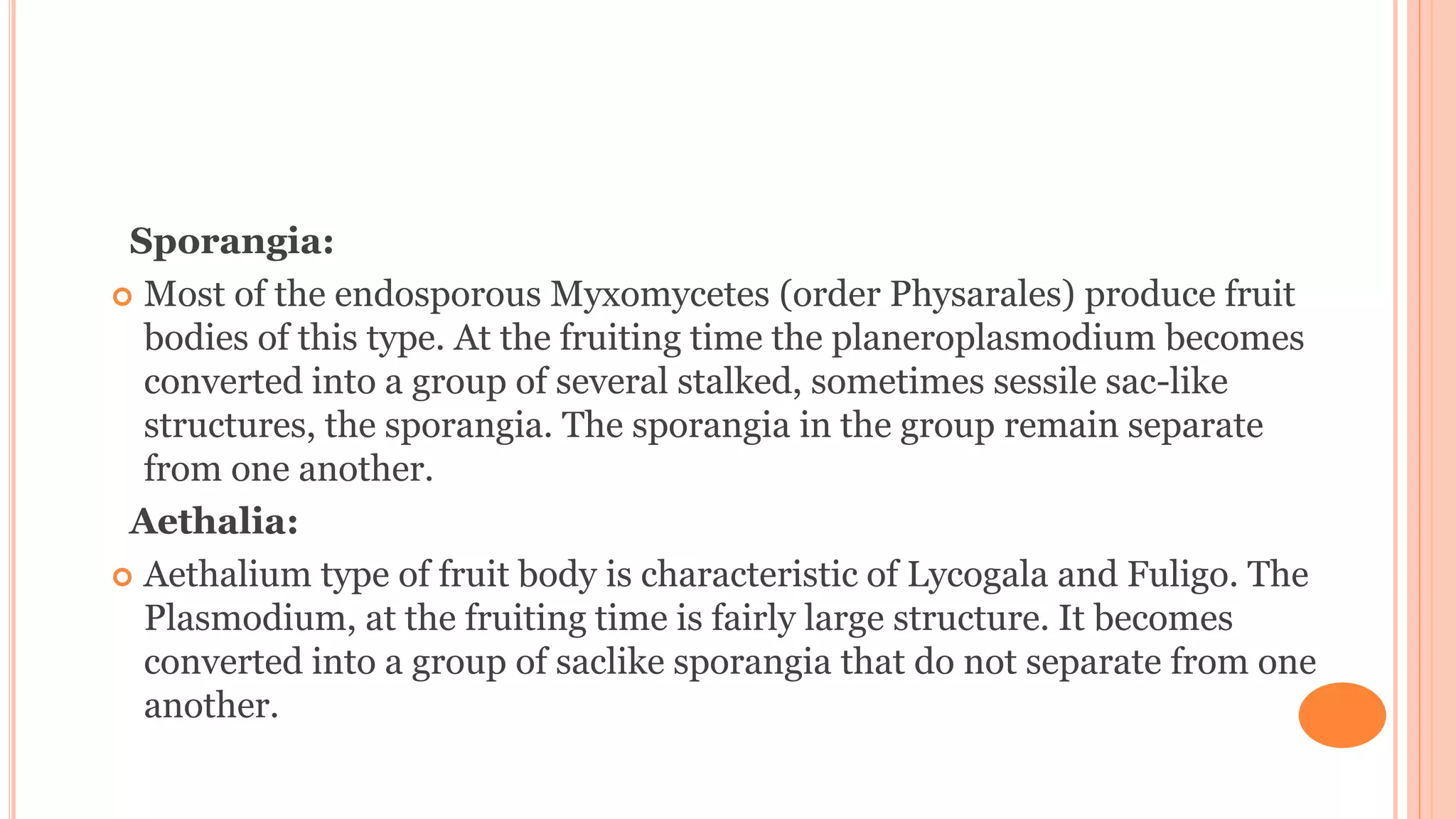 Myxomycetes | PPTX