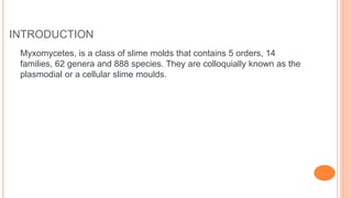 Myxomycetes | PPTX