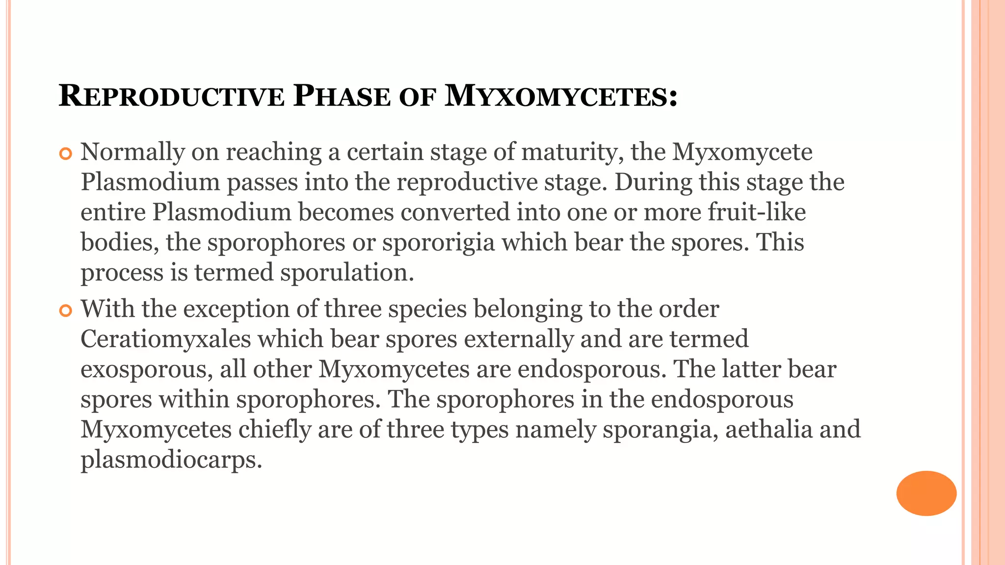 Myxomycetes | PPTX