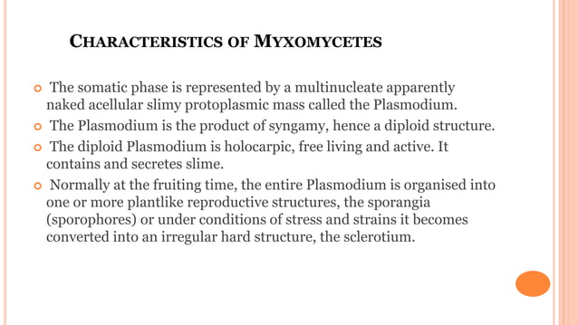 Myxomycetes | PPTX
