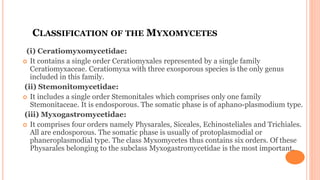 Myxomycetes | PPTX